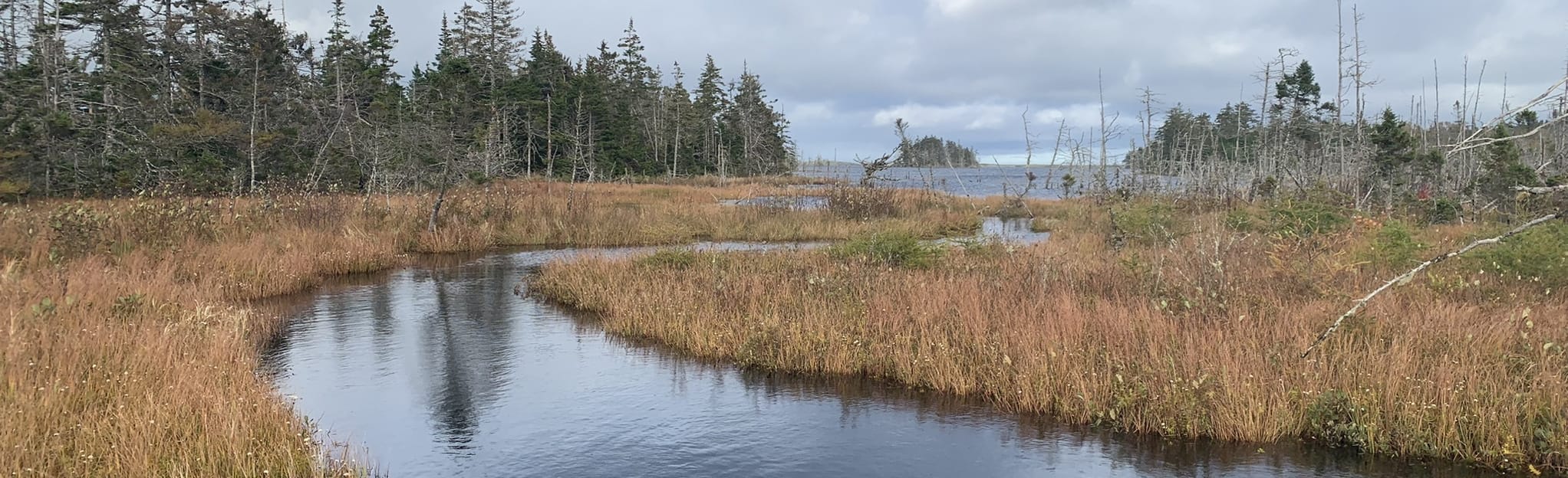 Gabarus Gull Cove, Nova Scotia, Canada - 71 Reviews, Map | AllTrails