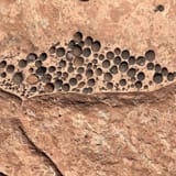 Cosmic Ashtray via Volcano Trail, Utah - 444 Reviews, Map | AllTrails