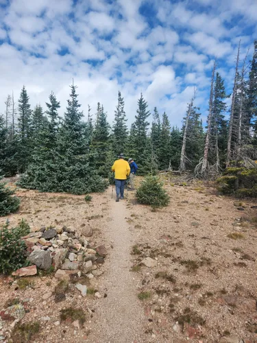 Best Camping Trails in Greer | AllTrails