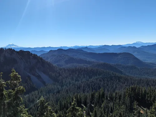 10 Best Trails and Hikes in Longmire | AllTrails