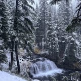 Broken Top Summit, Oregon - 223 Reviews, Map | AllTrails