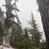 Broken Top Summit, Oregon - 223 Reviews, Map | AllTrails