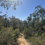 Kalamunda to Mundaring Walk, Western Australia, Australia - 56 Reviews ...