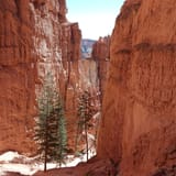 Navajo Loop Trail, Utah - 3,648 Reviews, Map | AllTrails