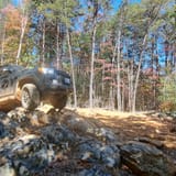 Uwharrie OHV Trail, North Carolina - 212 Reviews, Map | AllTrails