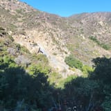 Tenaja Falls, California - 685 Reviews, Map | AllTrails
