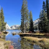 Tenaya Lake Trail, California - 363 Reviews, Map | AllTrails