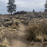 Boyd Cave, Oregon - 198 Reviews, Map | AllTrails