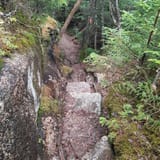 Percy Peaks Loop, New Hampshire - 191 Reviews, Map | AllTrails