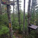 Percy Peaks Loop, New Hampshire - 191 Reviews, Map | AllTrails