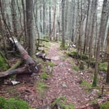 Percy Peaks Loop, New Hampshire - 191 Reviews, Map | AllTrails