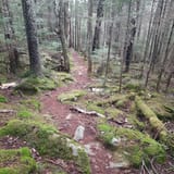 Percy Peaks Loop, New Hampshire - 191 Reviews, Map | AllTrails