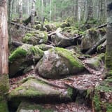 Percy Peaks Loop, New Hampshire - 191 Reviews, Map | AllTrails
