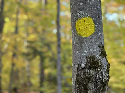 Best Hikes and Trails in Goose Pond Reservation | AllTrails