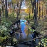 Broad Meadow Brook Trail, Massachusetts - 831 Reviews, Map | AllTrails
