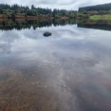 Fernworthy Reservoir Circular, Devon, England - 59 Reviews, Map | AllTrails