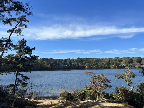 Best Hikes and Trails in Flax Pond Conservation Land | AllTrails