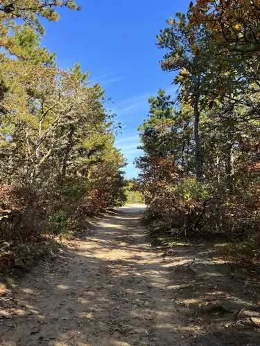 Best Hikes and Trails in Thompson Field | AllTrails