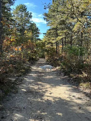 Best Hikes and Trails in Thompson Field | AllTrails