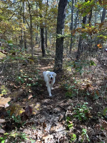 Best Hikes and Trails in Thompson Field | AllTrails