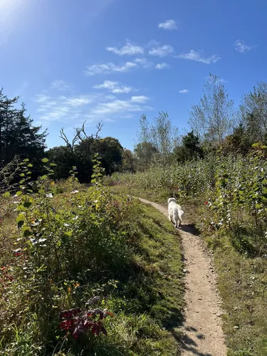 Best Hikes and Trails in Thompson Field | AllTrails