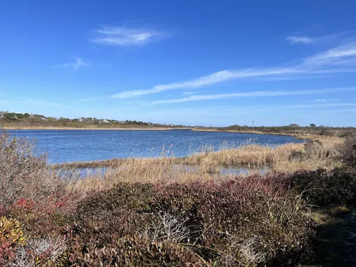 10 Best Trails and Hikes in Nantucket | AllTrails
