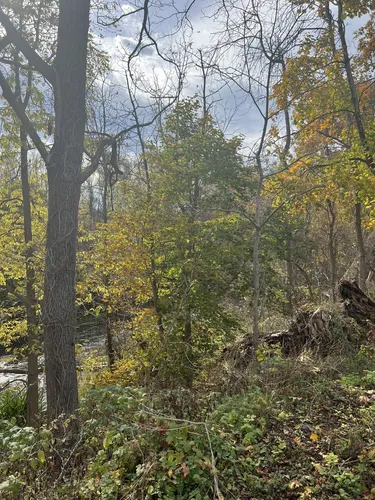 Best Hikes and Trails in Marcellus County Park | AllTrails