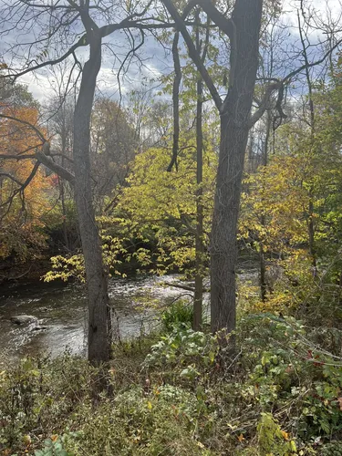 Best Hikes and Trails in Marcellus County Park | AllTrails