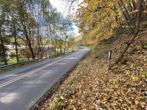 2023 Best Views Trails in Elkins | AllTrails