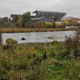 Union Bay Natural Area Loop, Washington - 262 Reviews, Map | AllTrails