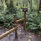 Tryon Creek Triple Bridge Loop, Oregon - 1,373 Reviews, Map | AllTrails