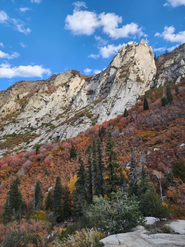 2023 Best Long Trails in Snowbird Ski Resort | AllTrails