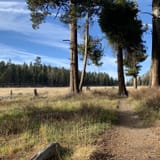 Big Meadow to Round Lake, California - 787 Reviews, Map | AllTrails