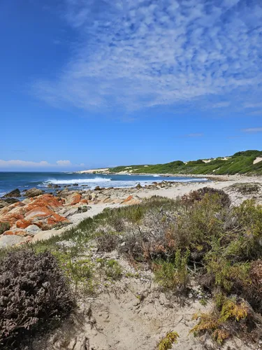 10 Best Trails and Hikes in Eastern Cape | AllTrails