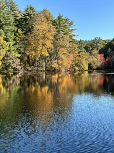 Best Hikes and Trails in Wrentham State Forest | AllTrails