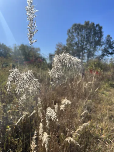 Best Hikes and Trails in Key Cave National Wildlife Refuge | AllTrails