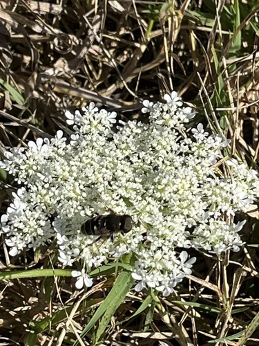Best Hikes and Trails in Key Cave National Wildlife Refuge | AllTrails