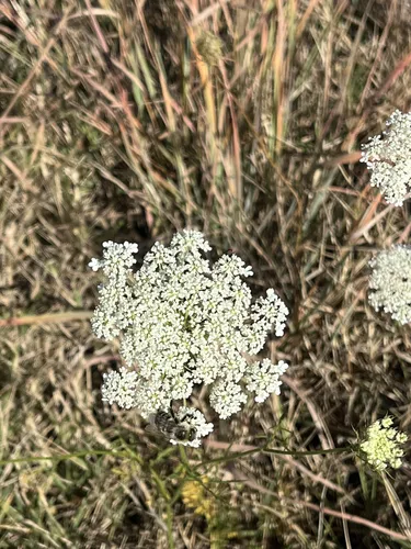 Best Hikes and Trails in Key Cave National Wildlife Refuge | AllTrails