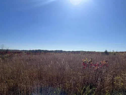 Best Hikes and Trails in Key Cave National Wildlife Refuge | AllTrails