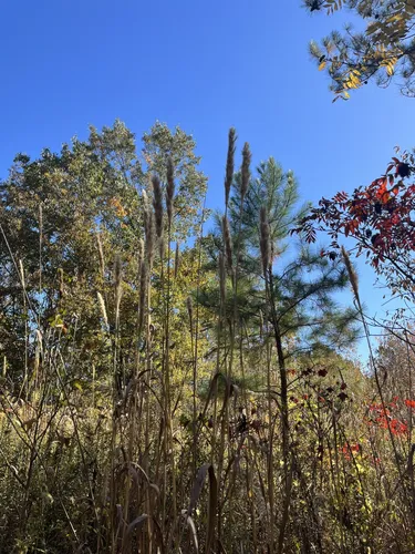 Best Hikes and Trails in Key Cave National Wildlife Refuge | AllTrails