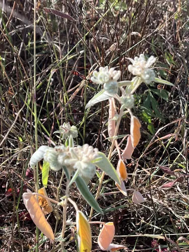 Best Hikes and Trails in Key Cave National Wildlife Refuge | AllTrails