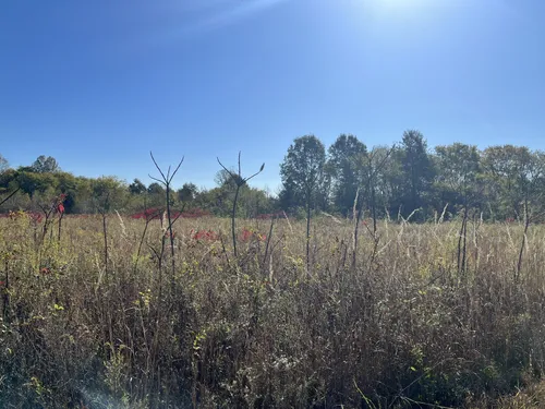 Best Hikes and Trails in Key Cave National Wildlife Refuge | AllTrails