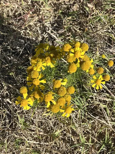 Best Hikes and Trails in Key Cave National Wildlife Refuge | AllTrails