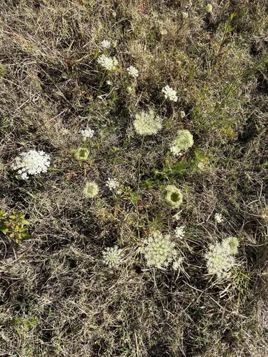 Best Hikes and Trails in Key Cave National Wildlife Refuge | AllTrails