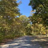 Joseph Bryan Park Trails, Virginia - 581 Reviews, Map | AllTrails
