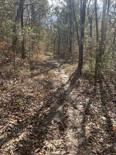 Best Hikes and Trails in Redstone Arsenal | AllTrails