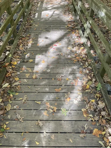 Best Hikes and Trails in Huntsman Park | AllTrails