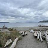 Seahurst Park Loop Trail, Washington - 773 Reviews, Map | AllTrails