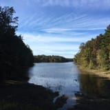 Herb Parsons Lake Green Trail, Tennessee - 775 Reviews, Map | AllTrails