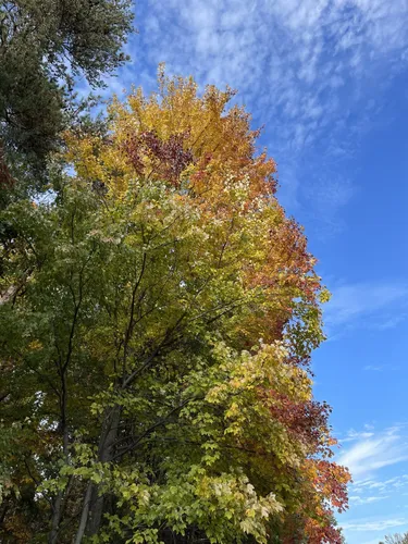 Best Hikes and Trails in Stanton Woods Park | AllTrails